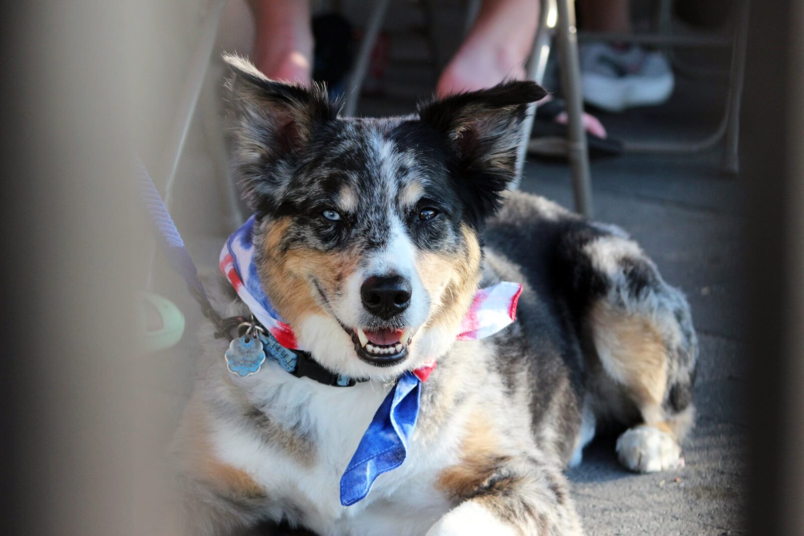 Destination Gettysburg: Official Guide to Gettysburg, PA