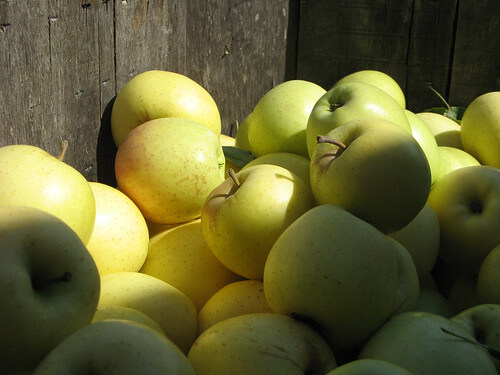 Historic South Mountain Fruit Belt - America's Orchard