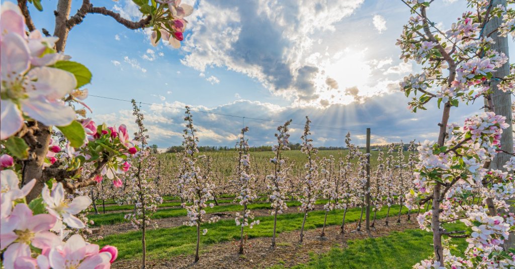 Destination Gettysburg: Official Guide to Gettysburg, PA