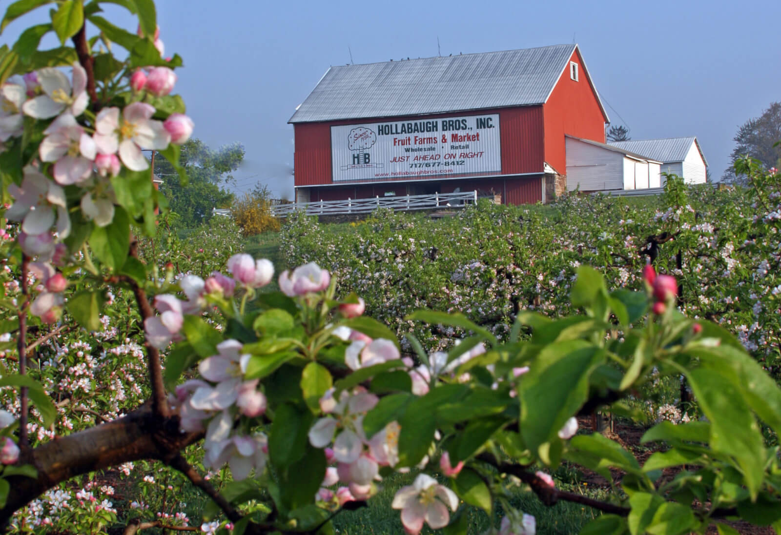 Top 10 Places for Springtime Blossoms in Adams County | Destination ...