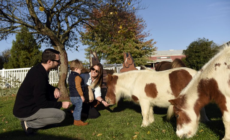 Fall Guide to Gettysburg, PA: Things To Do, Events, Cozy Stays & More