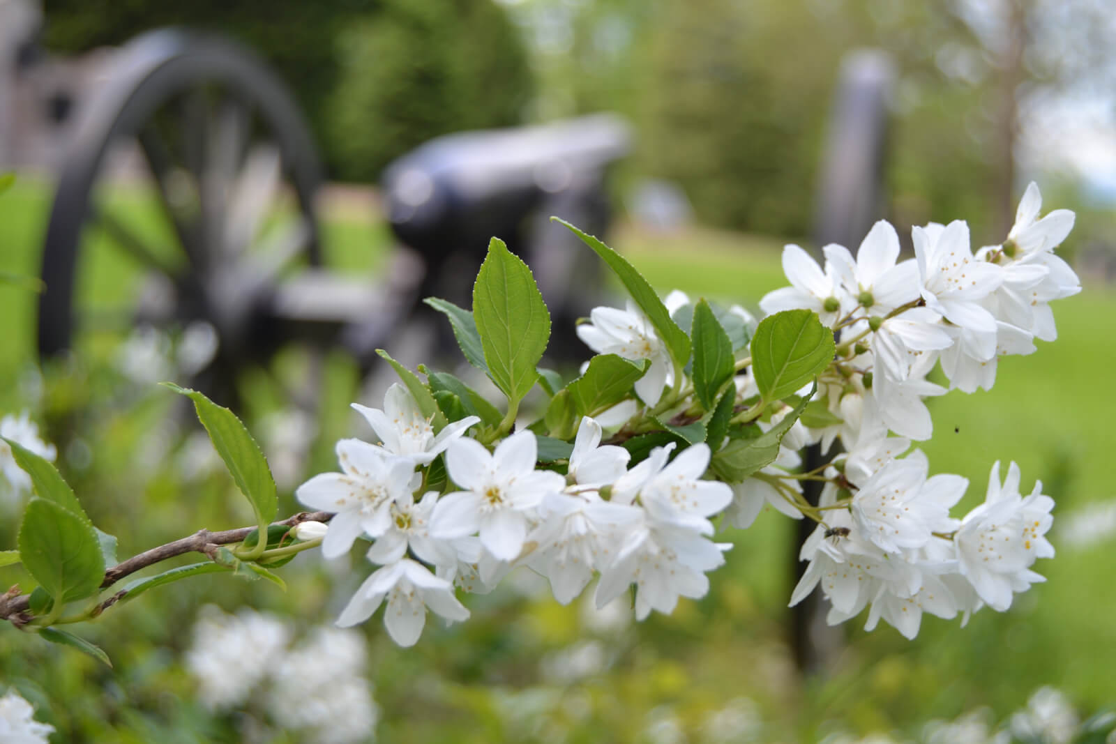 Destination Gettysburg: Travel & Visitors Guide to Gettysburg, PA