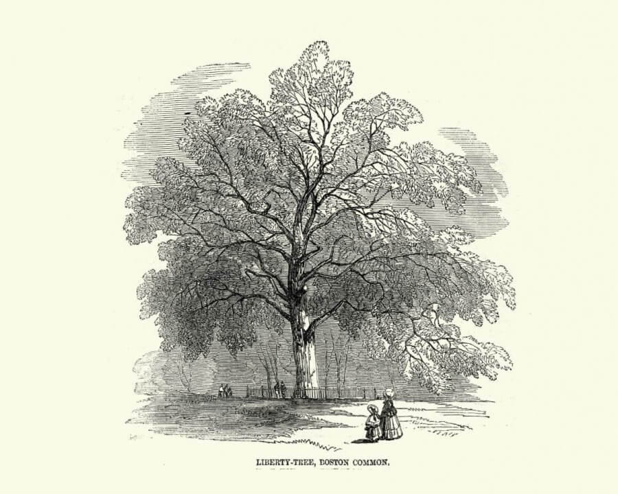 Liberty Tree Dedication | Event in Gettysburg