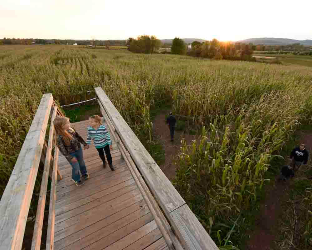 Fields of Adventure | Destination Gettysburg