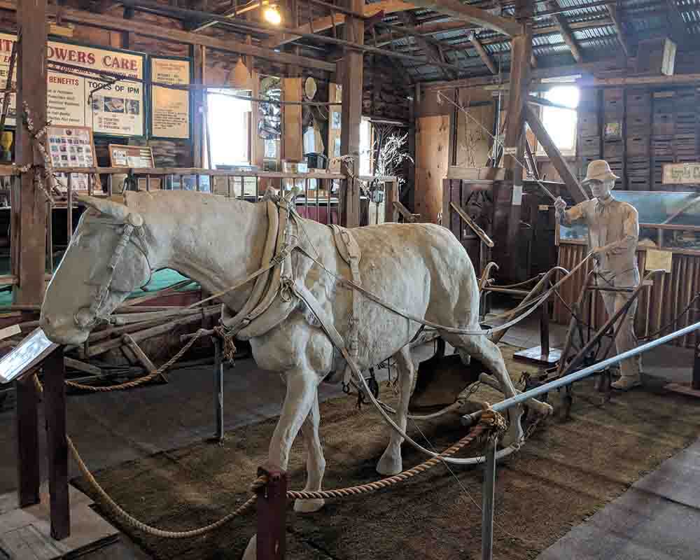 National Apple Museum | Destination Gettysburg